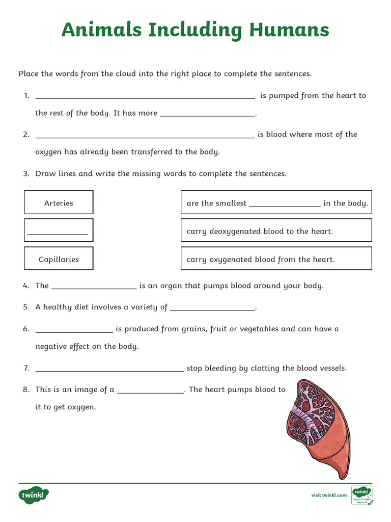 Animals Including Humans Retrieval Questions | PDF