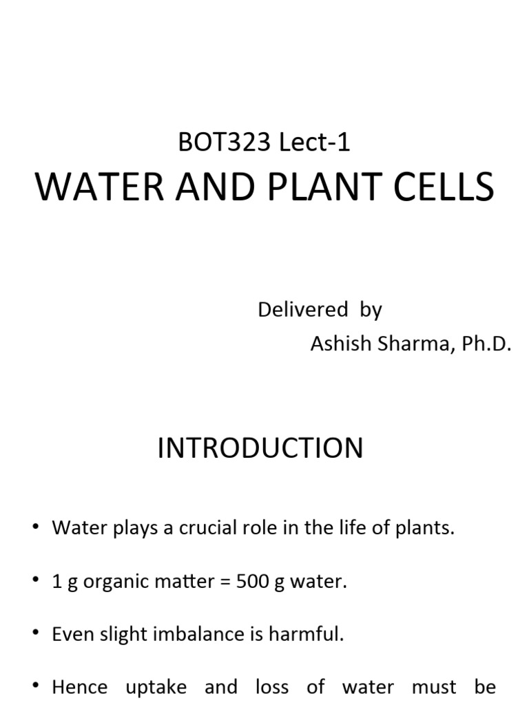 BOT323 Water and Plants | PDF | Stoma | Cell Membrane
