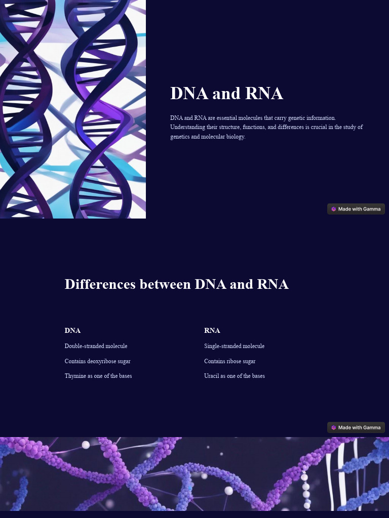 DNA and RNA | PDF | Rna | Dna