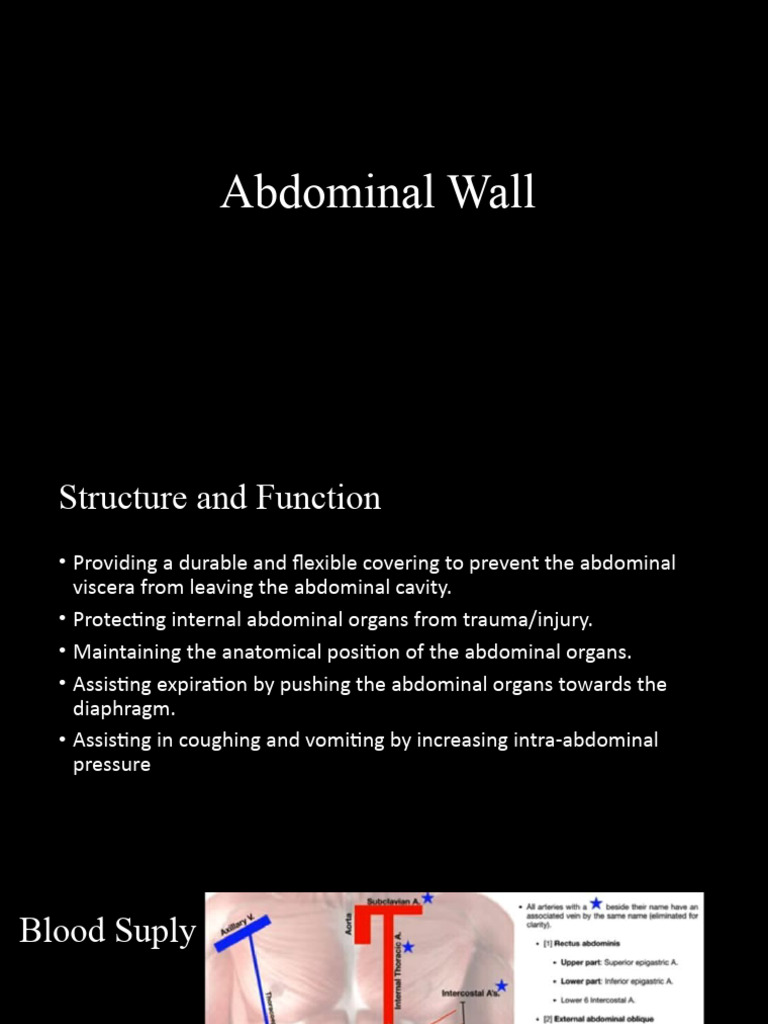 Abdominal Wall | PDF