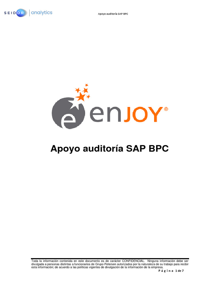 Apoyo Auditoría SAP BPC | PDF