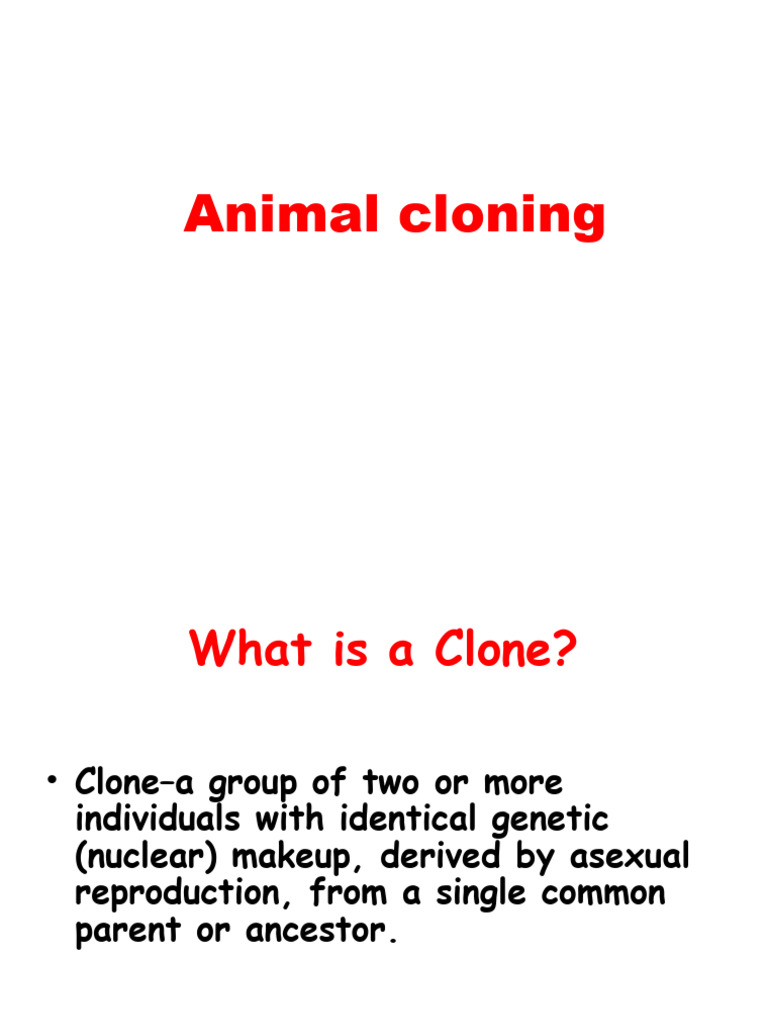 Animal Cloning | PDF | Cloning | Biology
