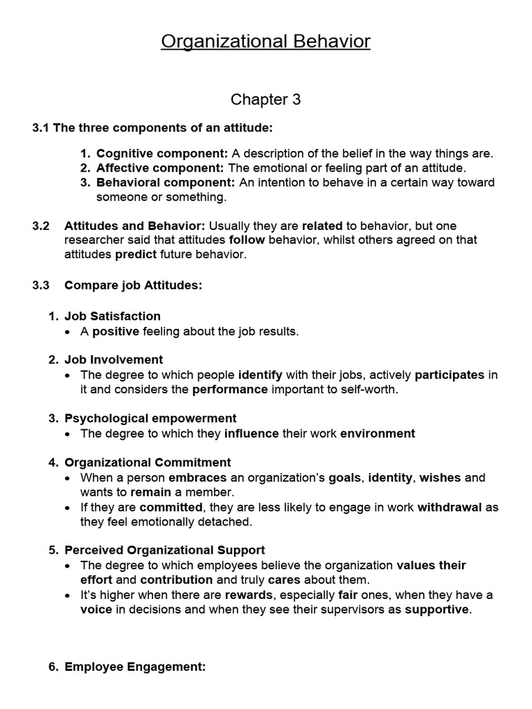 Organizational Behavior - Chapter 3 | PDF | Job Satisfaction | Attitude (Psychology)