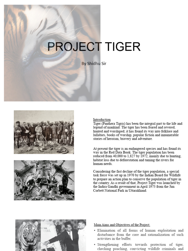 Project Tiger: Conservation Efforts | PDF | Tiger | Poaching