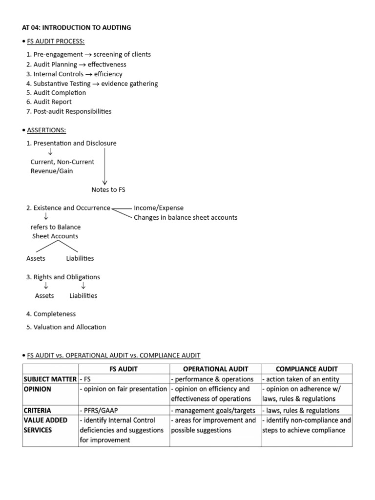 At 04 - Introduction To Auditing | PDF | Audit | Business