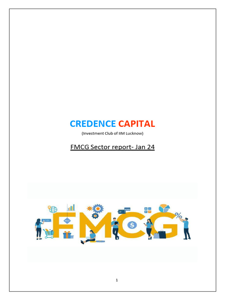 FMCG Sector Report | PDF | E Commerce | Retail