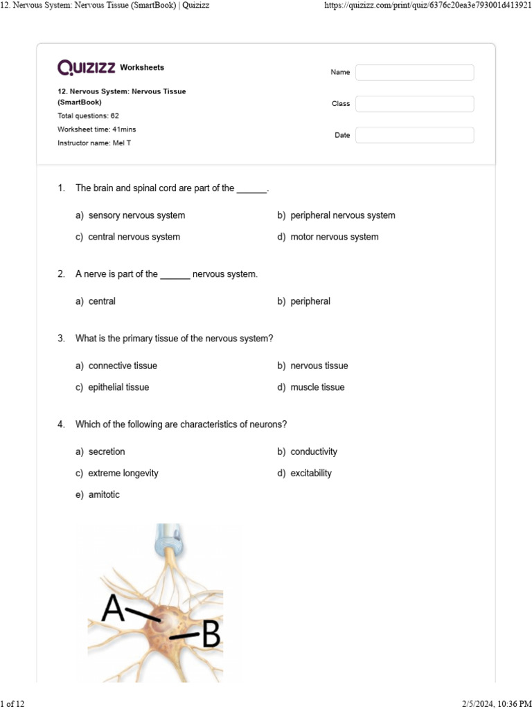 Nervous System Nervous Tissue (SmartBook) Quizizz4445 | PDF