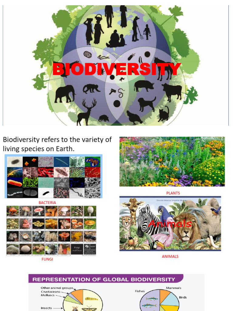 Biodiversity | PDF | Biodiversity | Ecological Niche