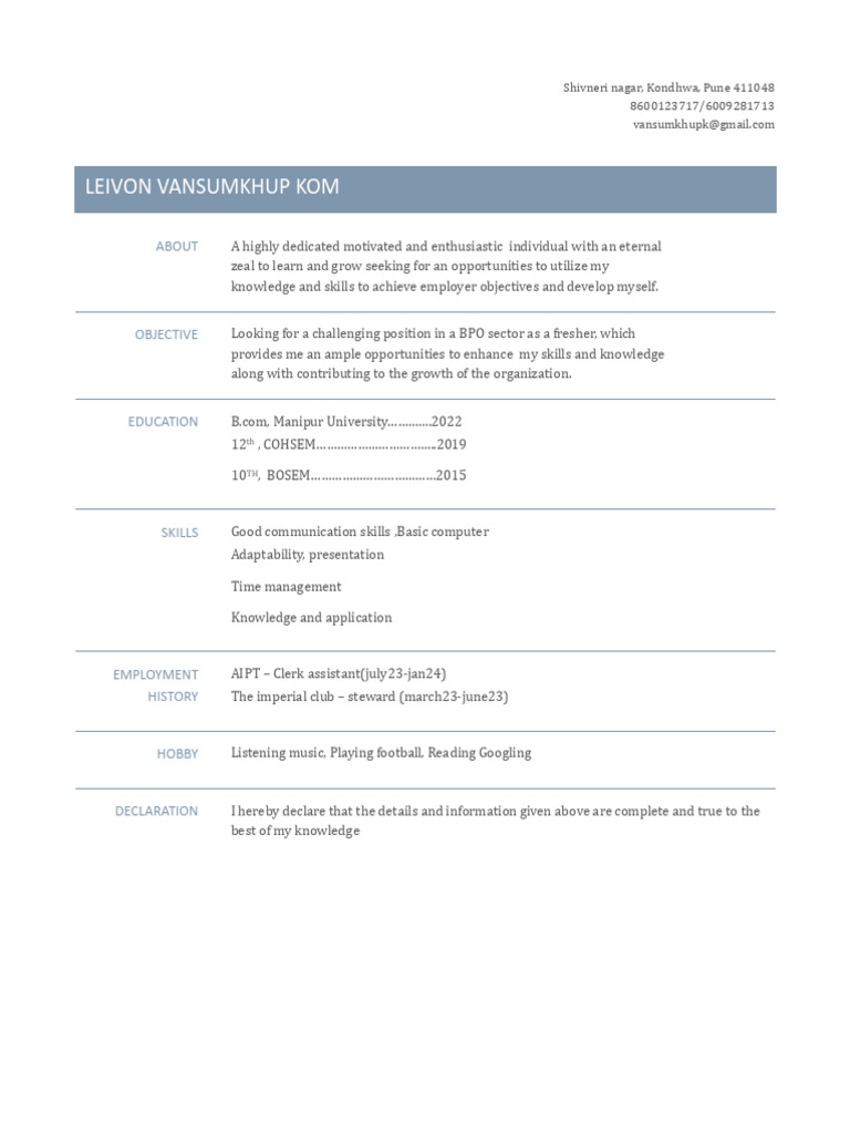 Freshers Resume Format BPO | PDF