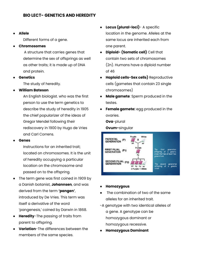 Bio Finals Reviewer | PDF | Dominance (Genetics) | Zygosity