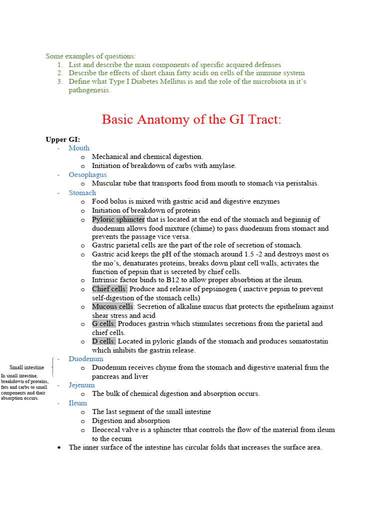 Gelain Study Notes | PDF