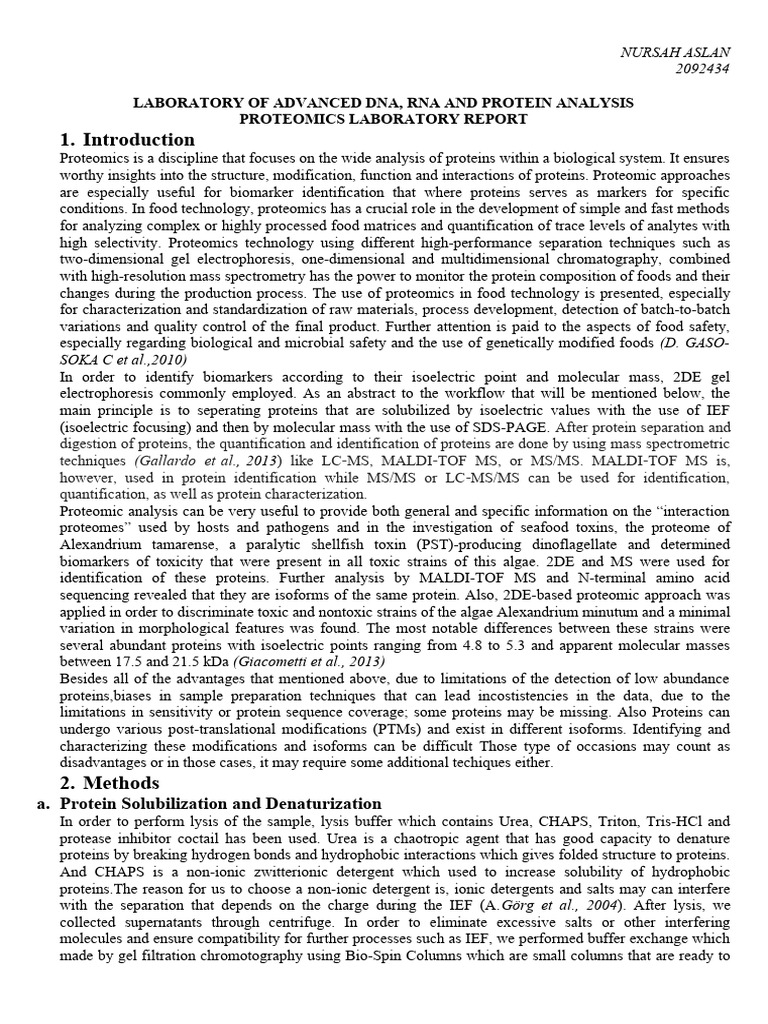 Proteomics Lab Report | PDF | Gel Electrophoresis | Proteomics