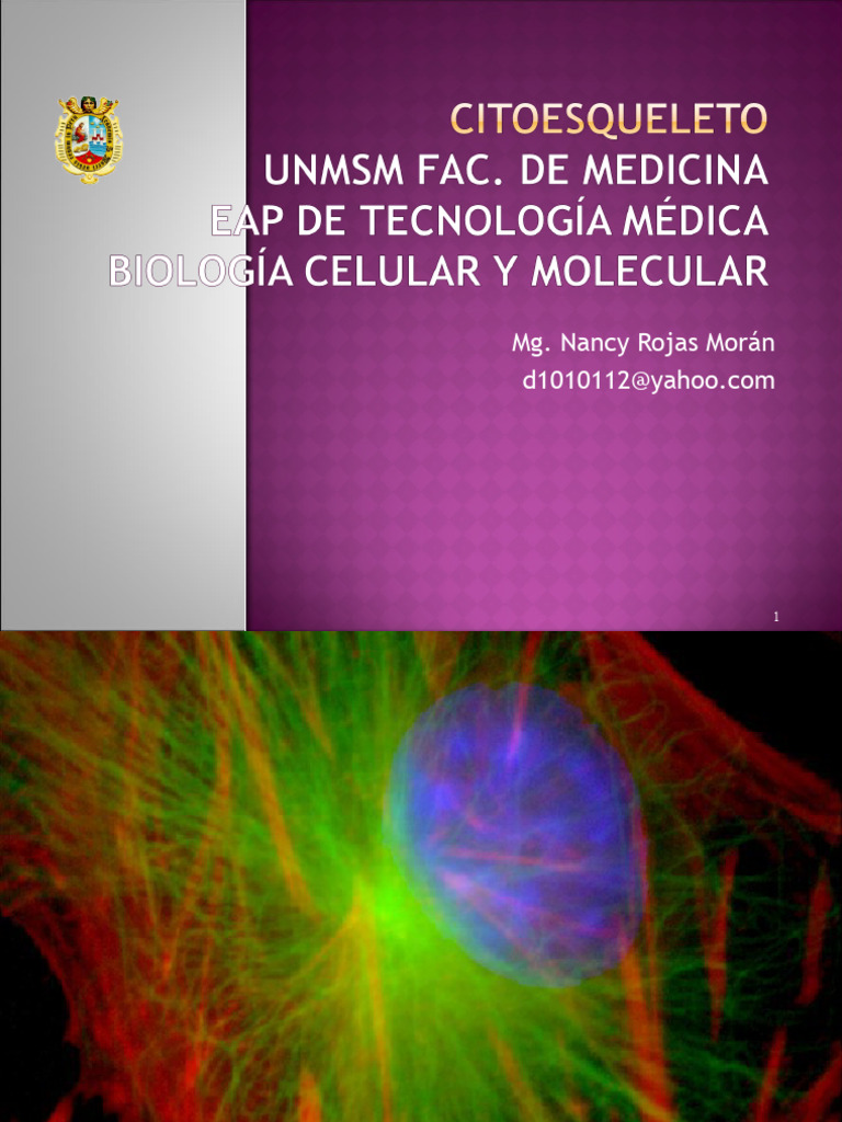 Citoesqueleto | PDF | Actina | Microtúbulos