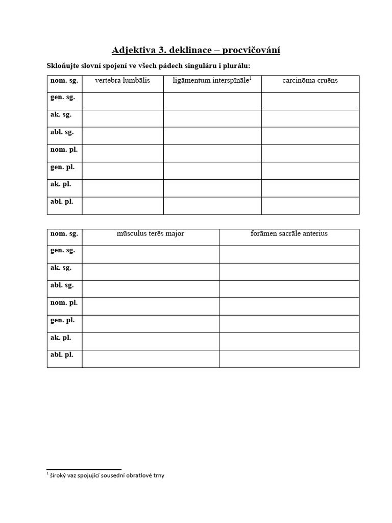 Skloňování Adjektiv 3. Deklinace - Procvičování | PDF