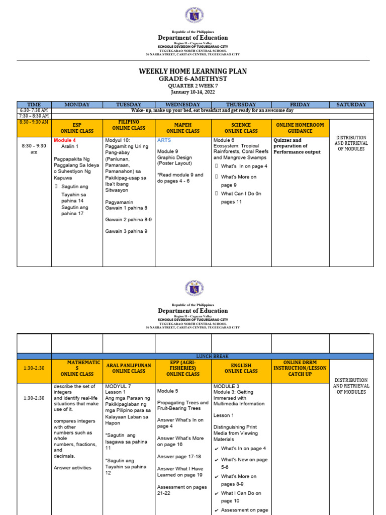 WHLP Q2 Week 7 Amethyst | PDF