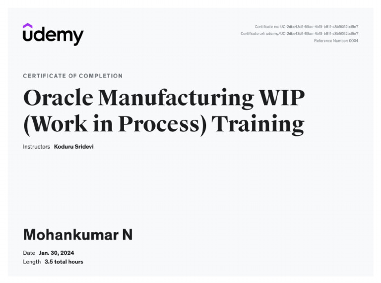 Udemy WIP Training | PDF
