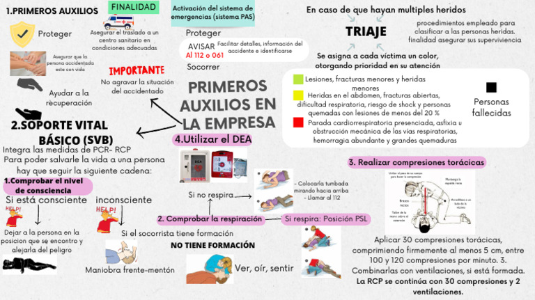 Primeros Auxilios | PDF | Reanimación cardiopulmonar | Primeros auxilios