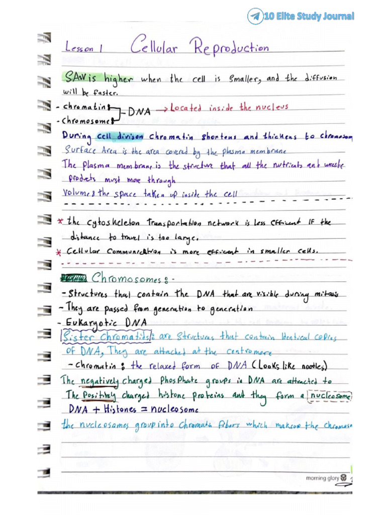 Cellular Reproduction | PDF