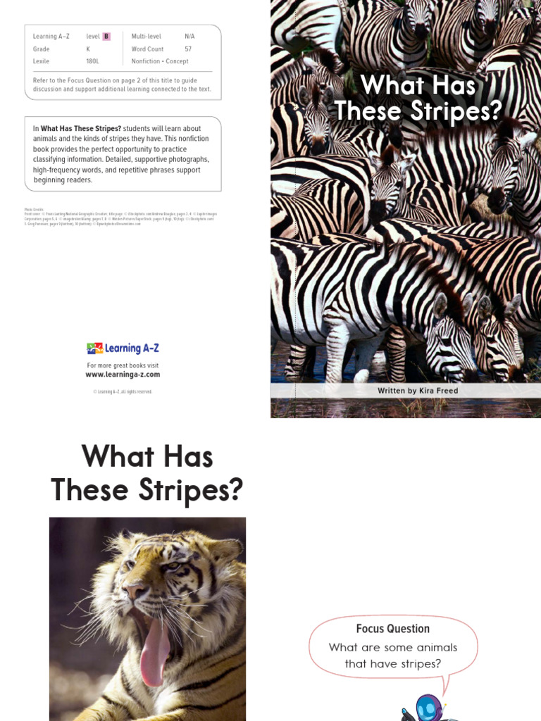 What Has Stripes | PDF