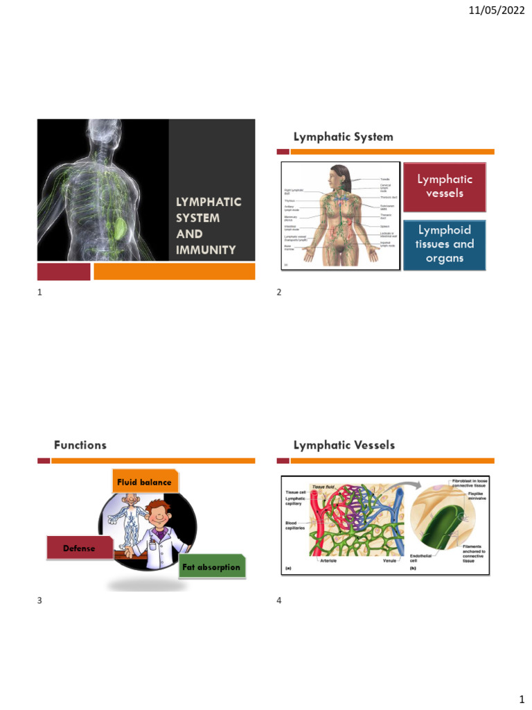 Lymphatic Students | PDF | Lymphatic System | Immune System