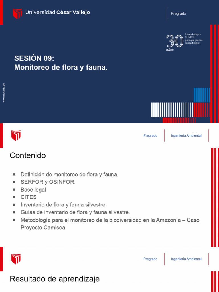 Clase 09 | PDF | Los bosques | Fauna