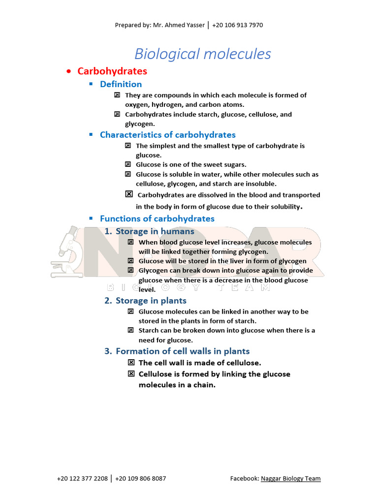 Biological Molecules | PDF | Glucose | Dna