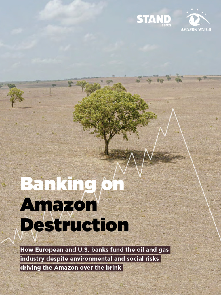 2021 Banking On Amazon Destruction | PDF | Amazon Rainforest | Deforestation
