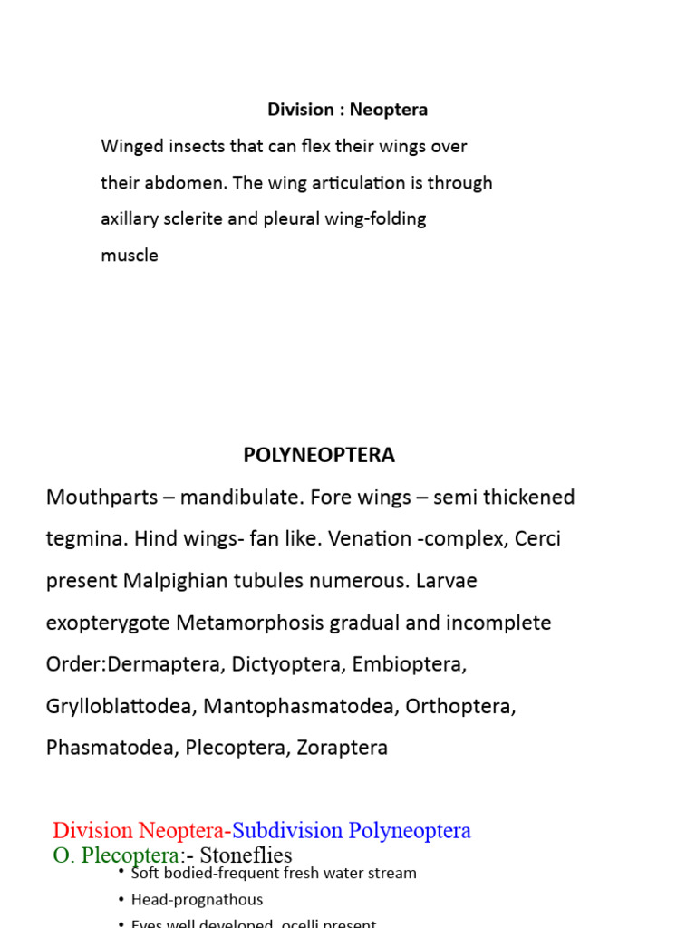 Polyneoptera | PDF | Insects | Hexapoda