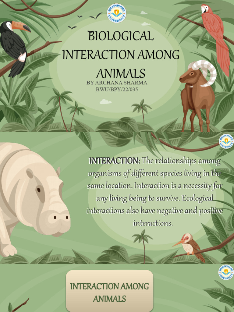 Biological Interactions Among Animals | PDF | Symbiosis | Nature