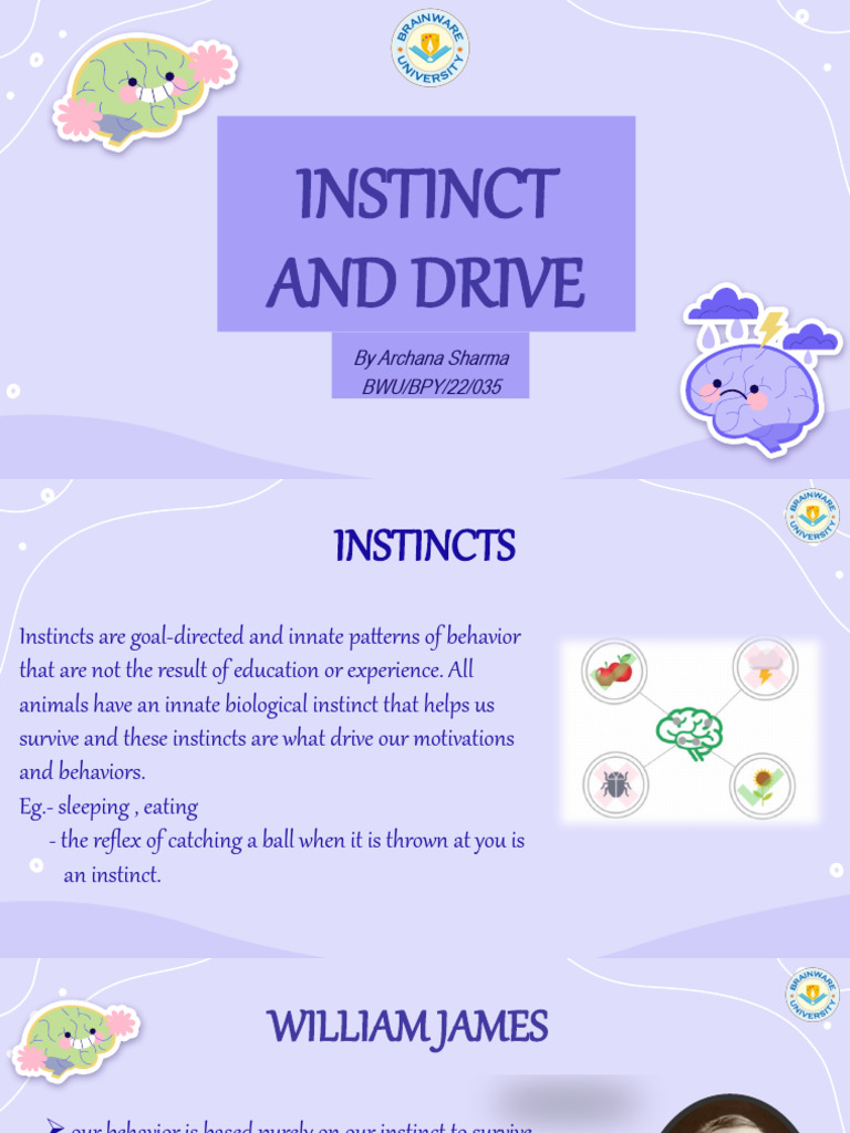 Instinct and Drive | Download Free PDF | Instinct | Motivational