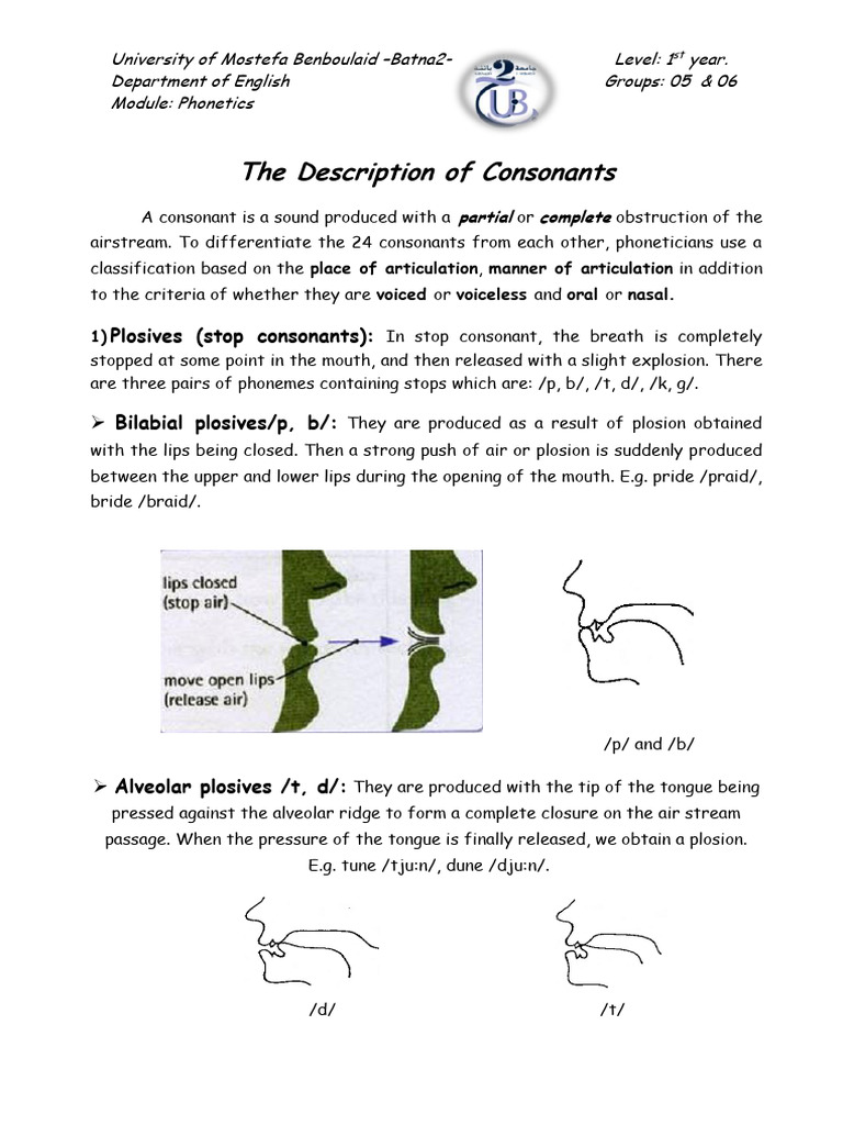 Lesson 4 Consonants1 | PDF | Phonetics | Human Voice