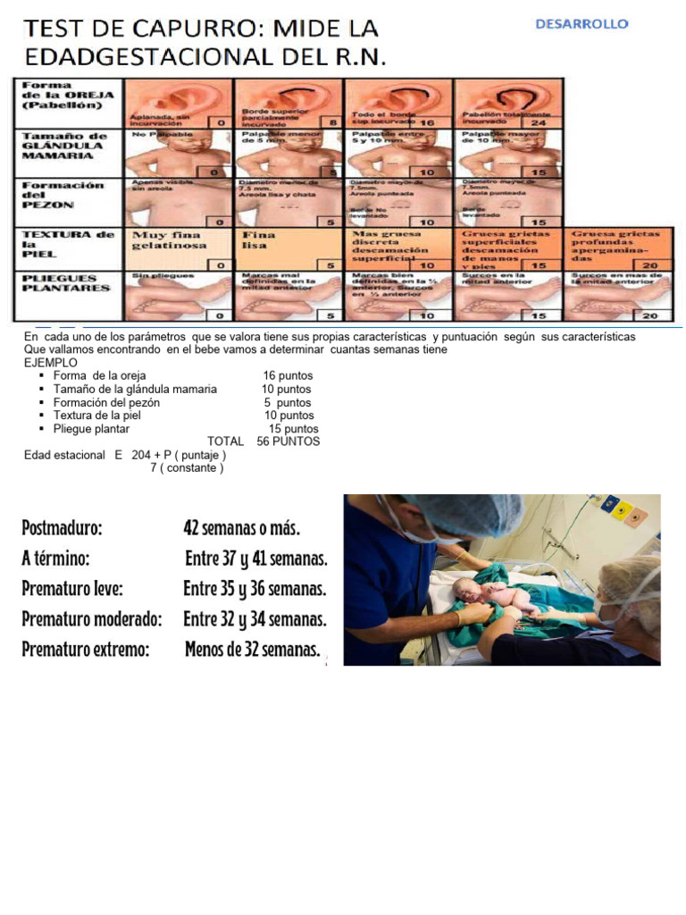 Test de Capurro | PDF