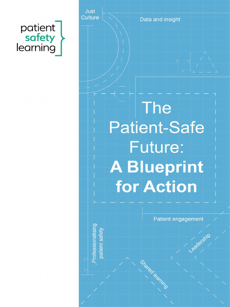 A Blueprint For Action 240619 | PDF | Patient Safety | Patient