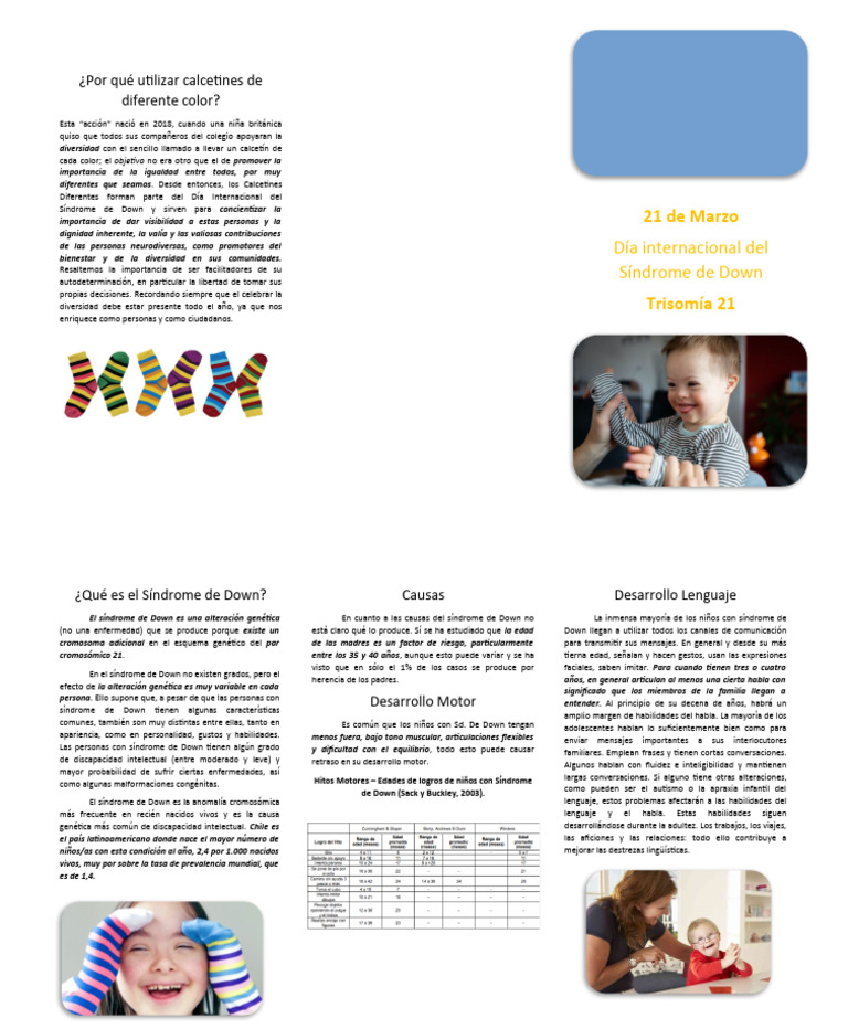 Triptico SD de Down | PDF | Síndrome de Down | Discapacidad intelectual