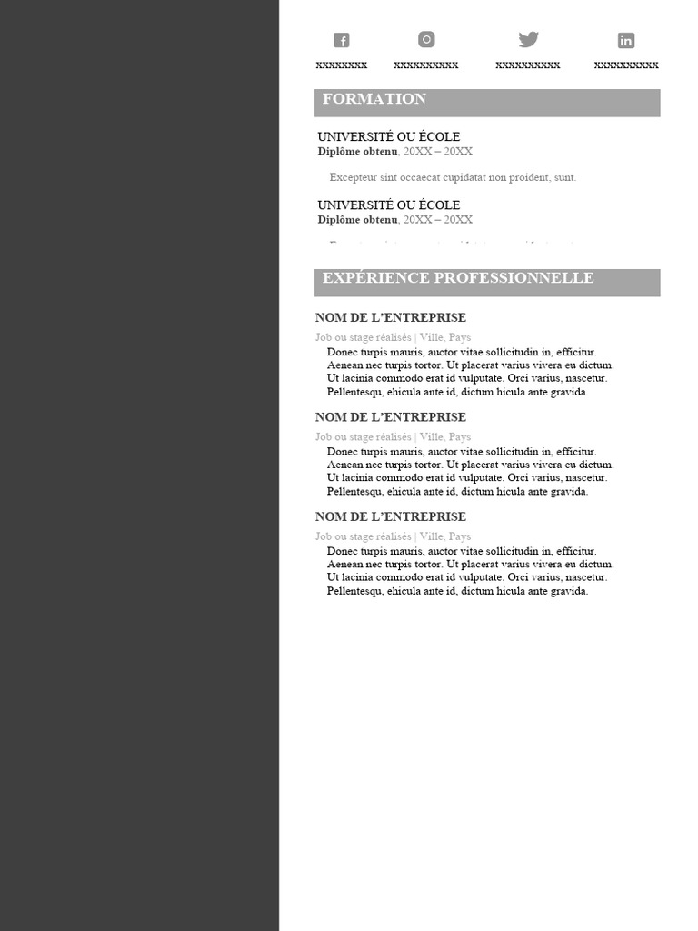 207 Modele CV Universitaire 1 | PDF