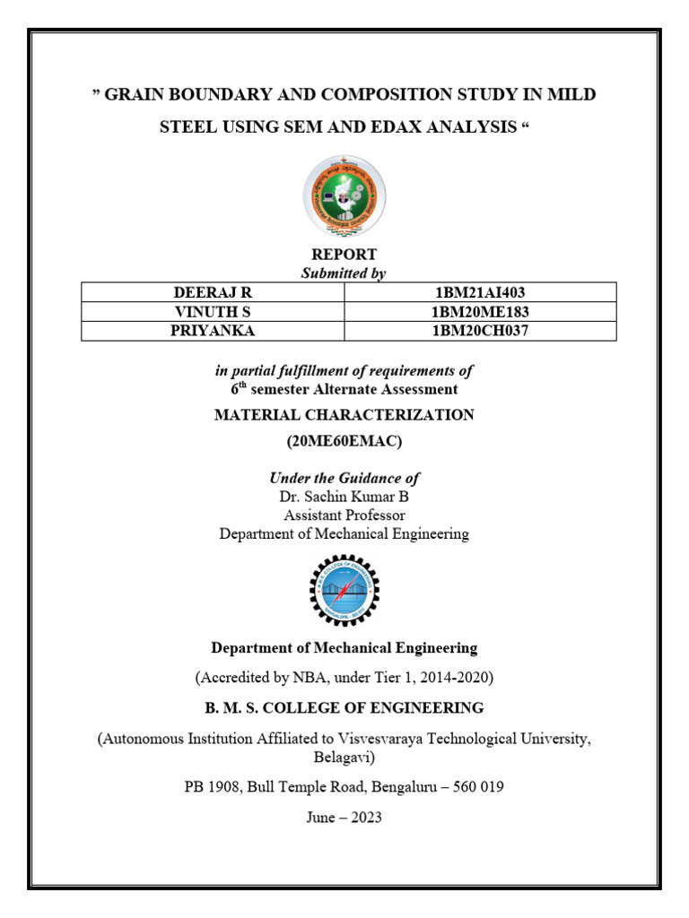 MS Report | PDF | Scanning Electron Microscope | Electron
