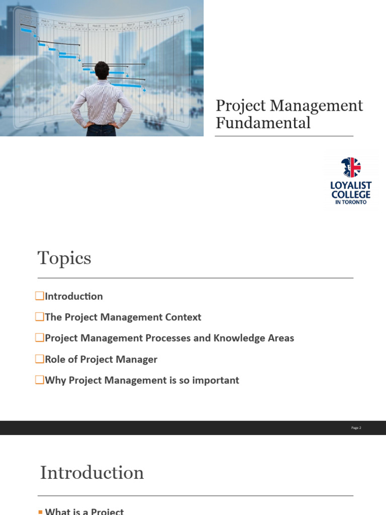 Project MGMT Fundamental | PDF | Project Management | Risk Management