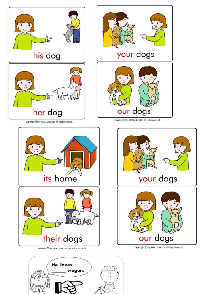 Possessive Pronouns | PDF