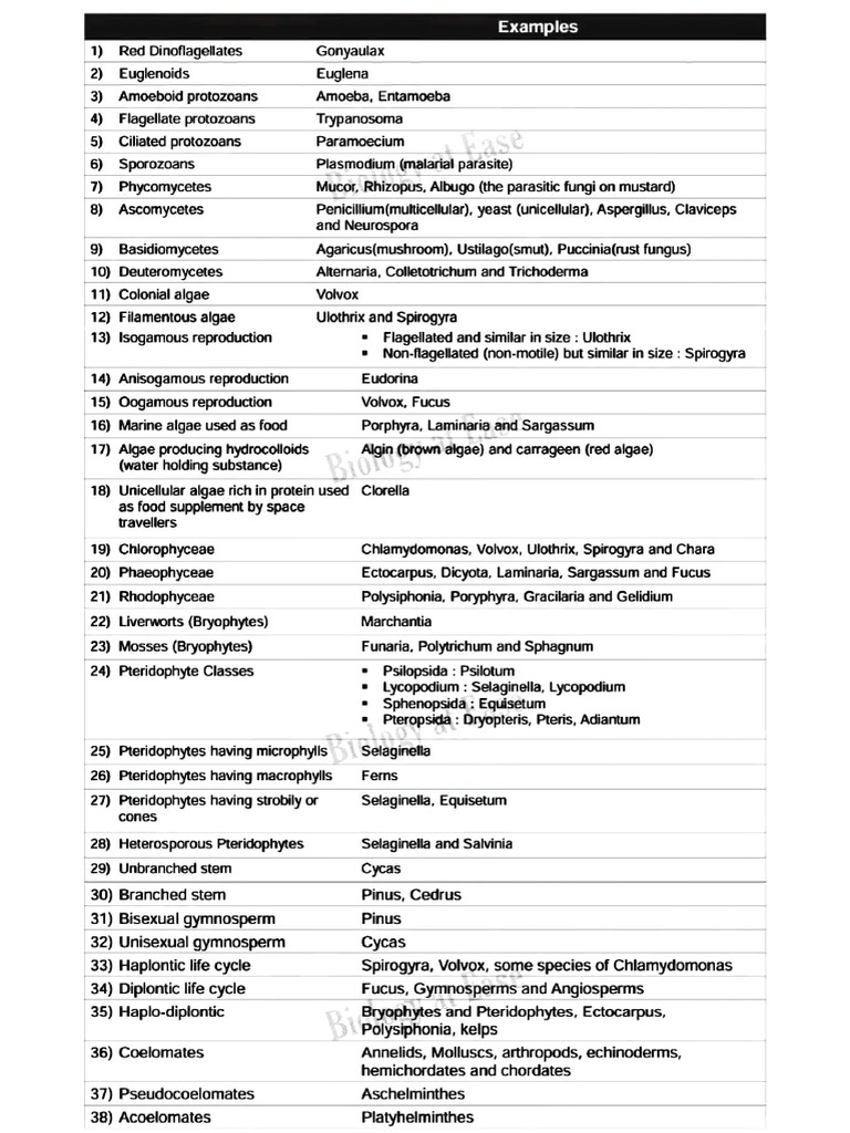 Neet Examples | Download Free PDF | Hormone | Nutrients