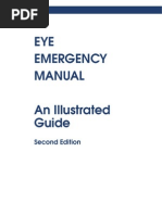 Vision Conversion Chart v2 0 | PDF | Eye | Face