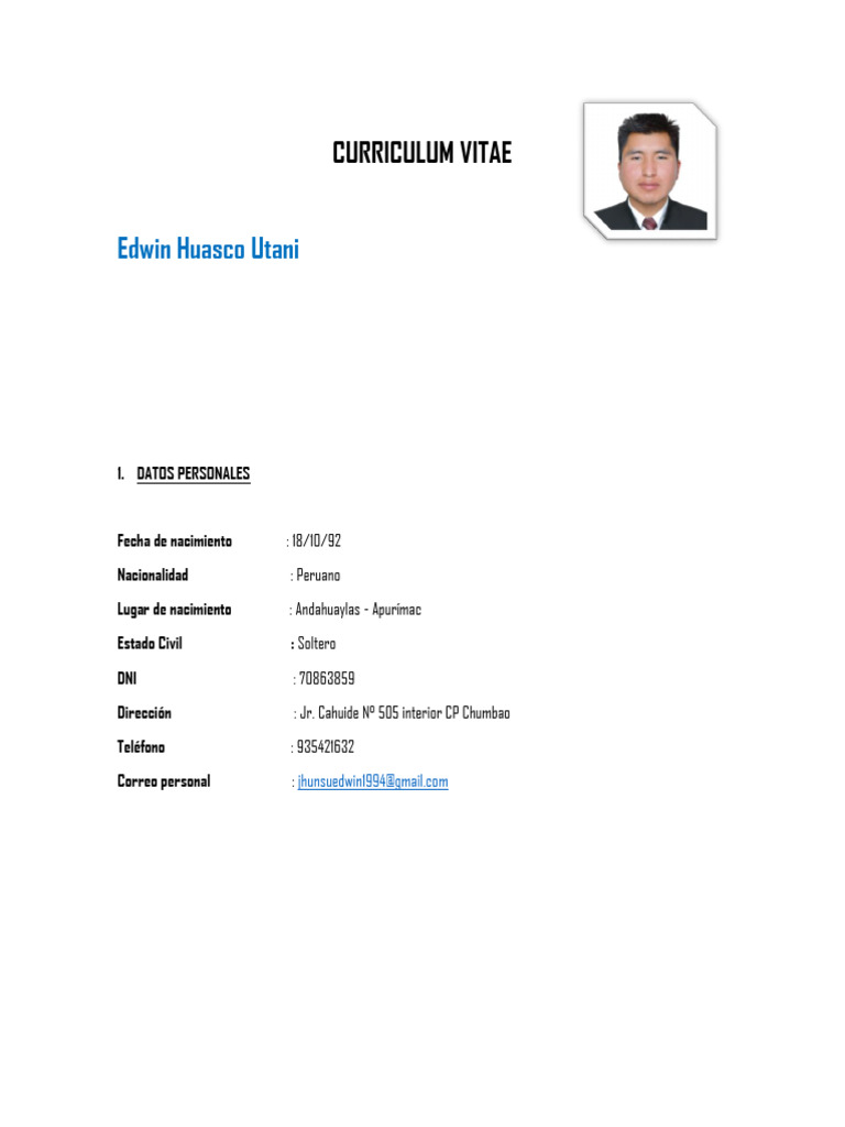 CV Edwin Huasco: Ingeniero Civil y Topógrafo | PDF | Hogar, jardinería ...