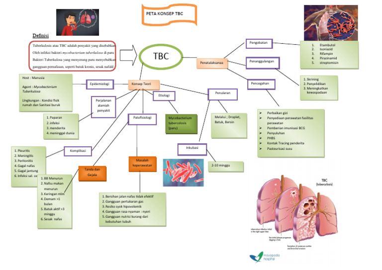 Mind Map TB Paru | PDF