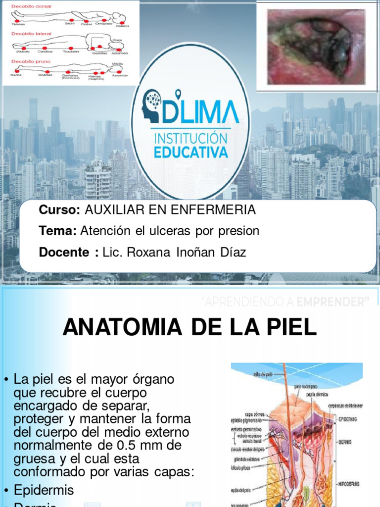 MODULO Deambulacion-qx 1D | PDF | Piel | Medicina CLINICA