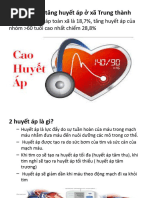 PHQ 9 Vietnamese | PDF