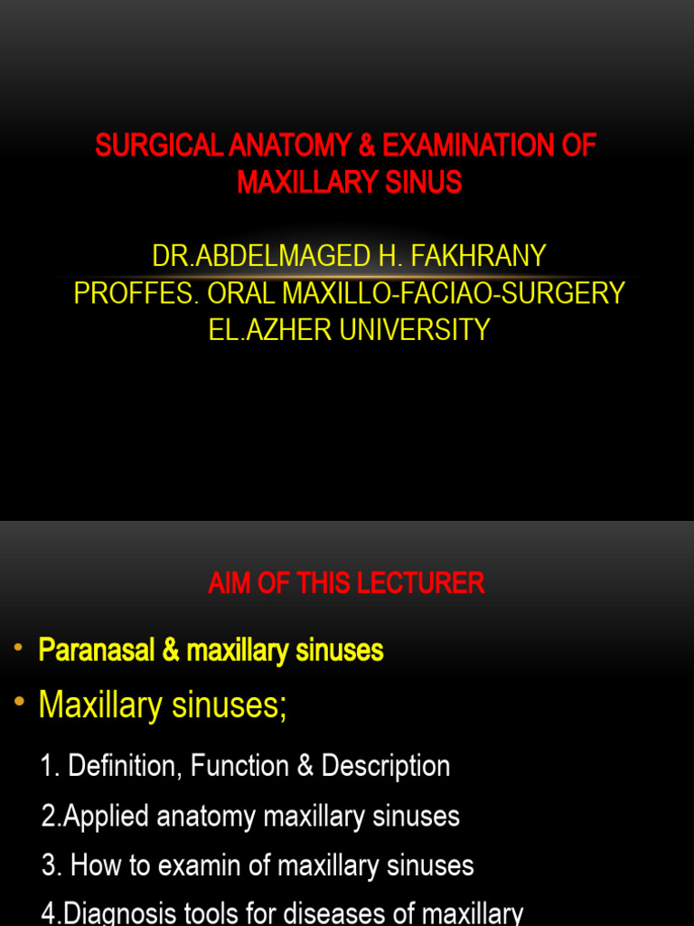 3 a)Maxillary Sinus سنه رابعهanatom Dr.abd 2 2 2 | PDF | Human Anatomy | Human Head And Neck