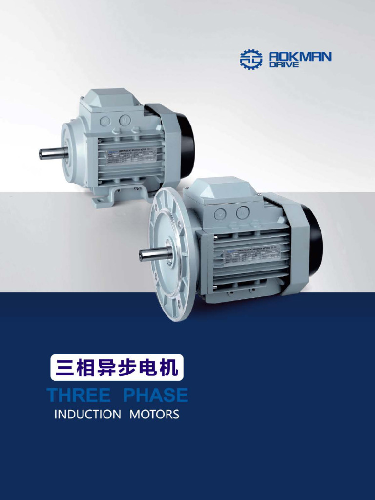 AOKMAN New Type Electric Motor Datasheet & Dimensions | PDF