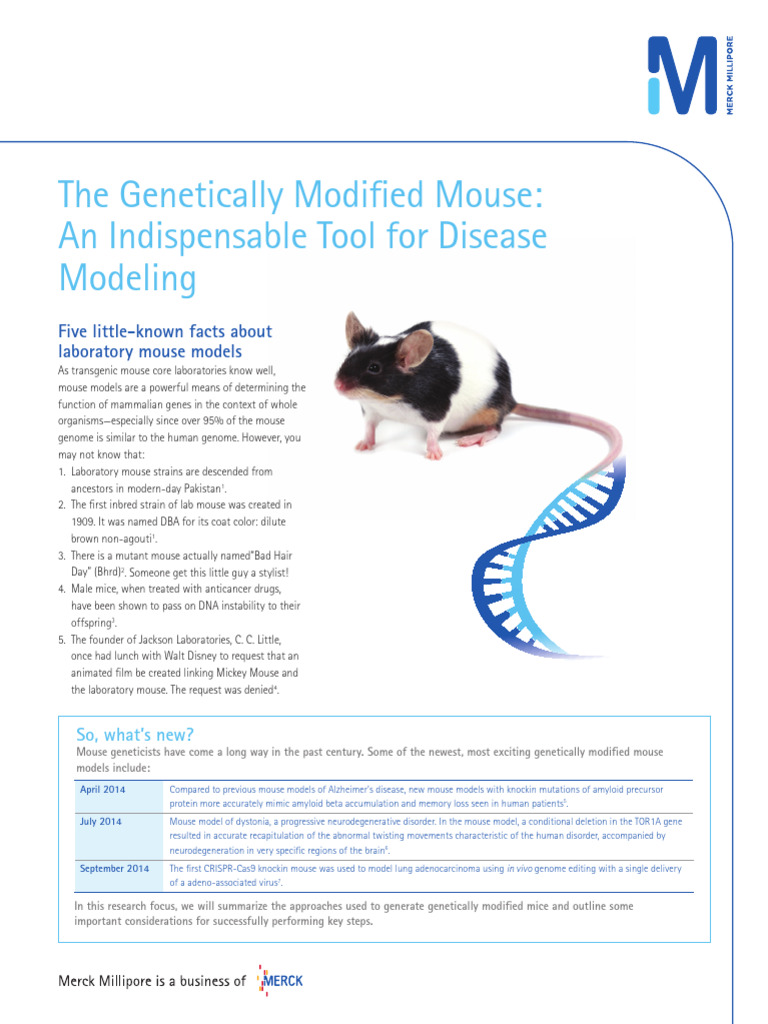 The Genetically Modified Mouse | PDF | Polymerase Chain Reaction ...
