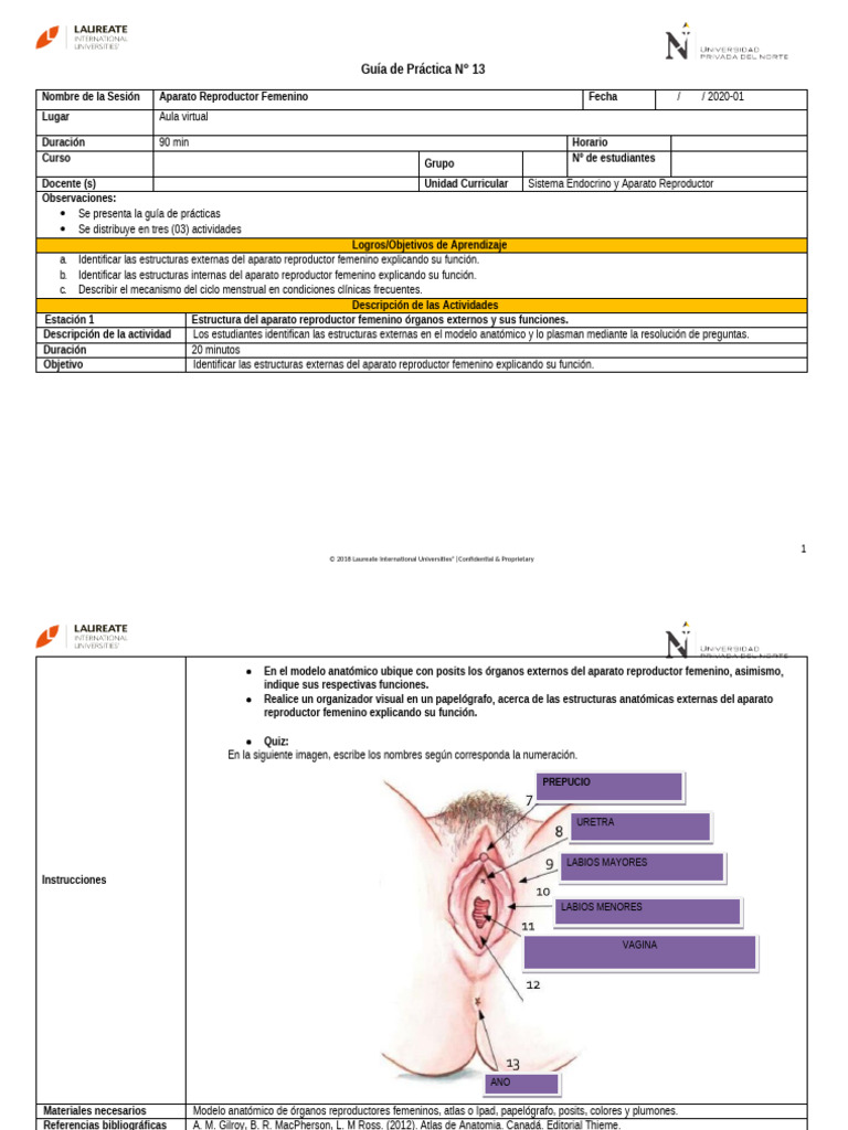 Guia de Sesion 13 Morfo Logia | PDF | Ciclo menstrual | Menstruación