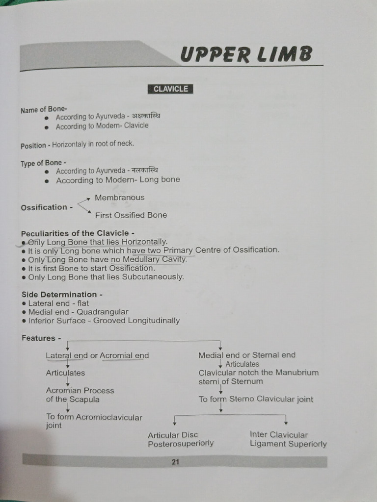 Bone Flowchart | PDF