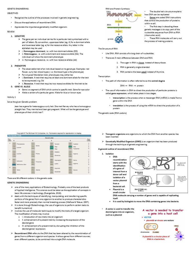 Genetic Engineering | PDF | Dominance (Genetics) | Genetic Engineering